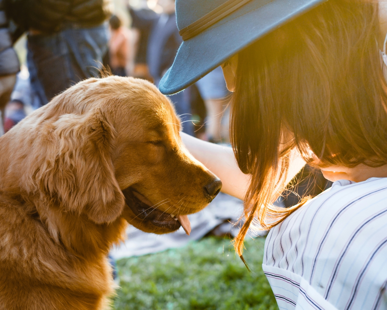Welcoming Pets in Restaurants: A Guide for Restaurant Owners – The Tip Jar